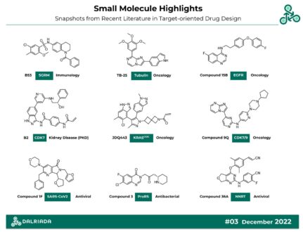 Small Molecule Highlights #03 - December 2022 – Dalriada Drug Discovery